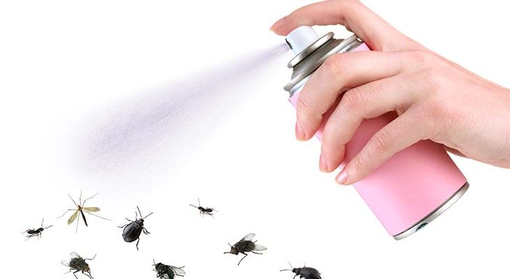 Controlling Crane Fly Infestations - Home And Farm Sense - Advice on ...